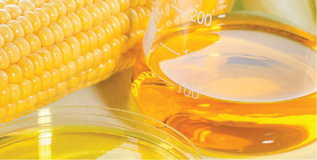 Oil Seeds – Asante Agro