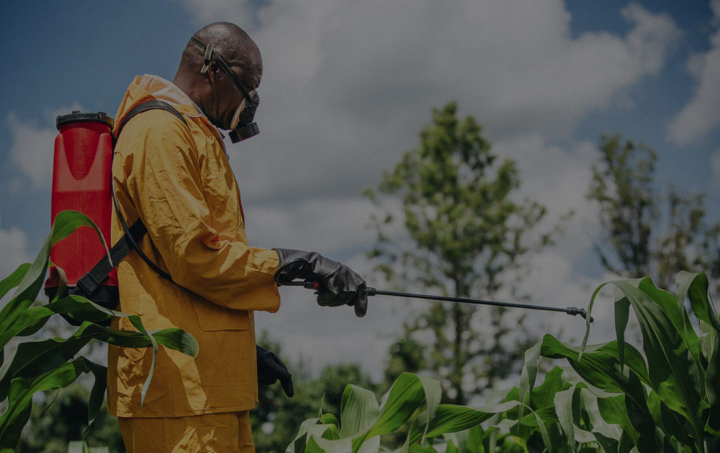Our Culture – Asante Agro